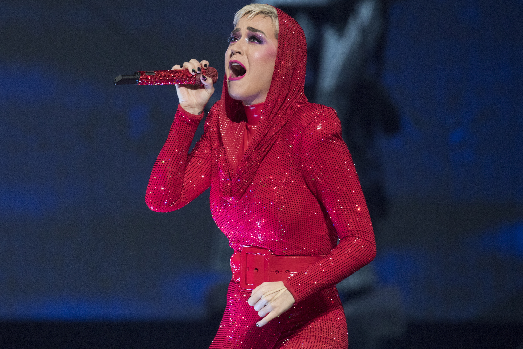 Katy Perry Announces Dates for 2025 “The Lifetime’s Tour” | The Early ...